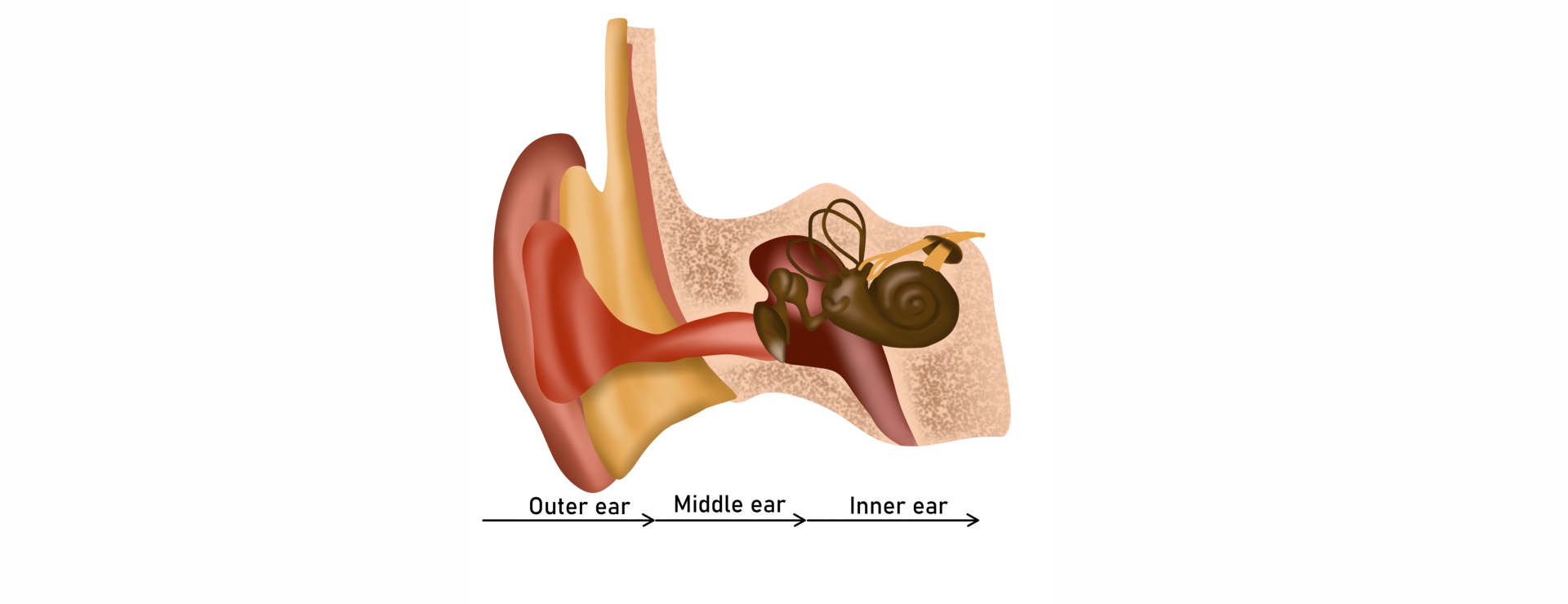 About us - Optimum Vision Clinic
